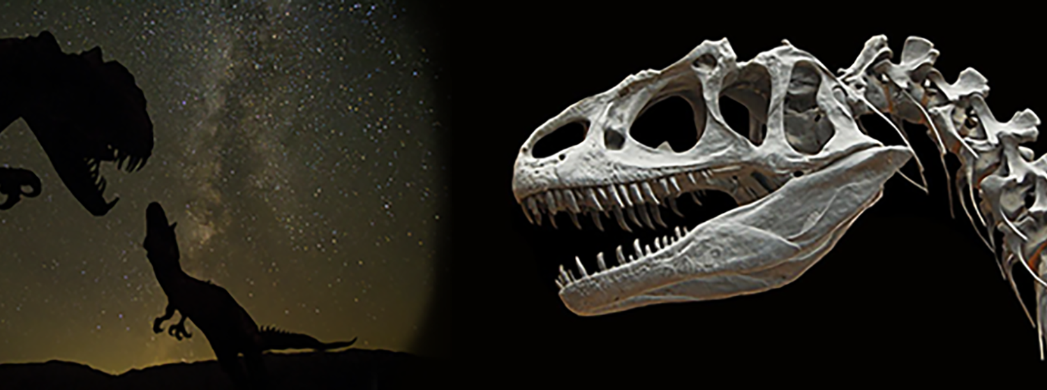 Homepage // Geological Sciences